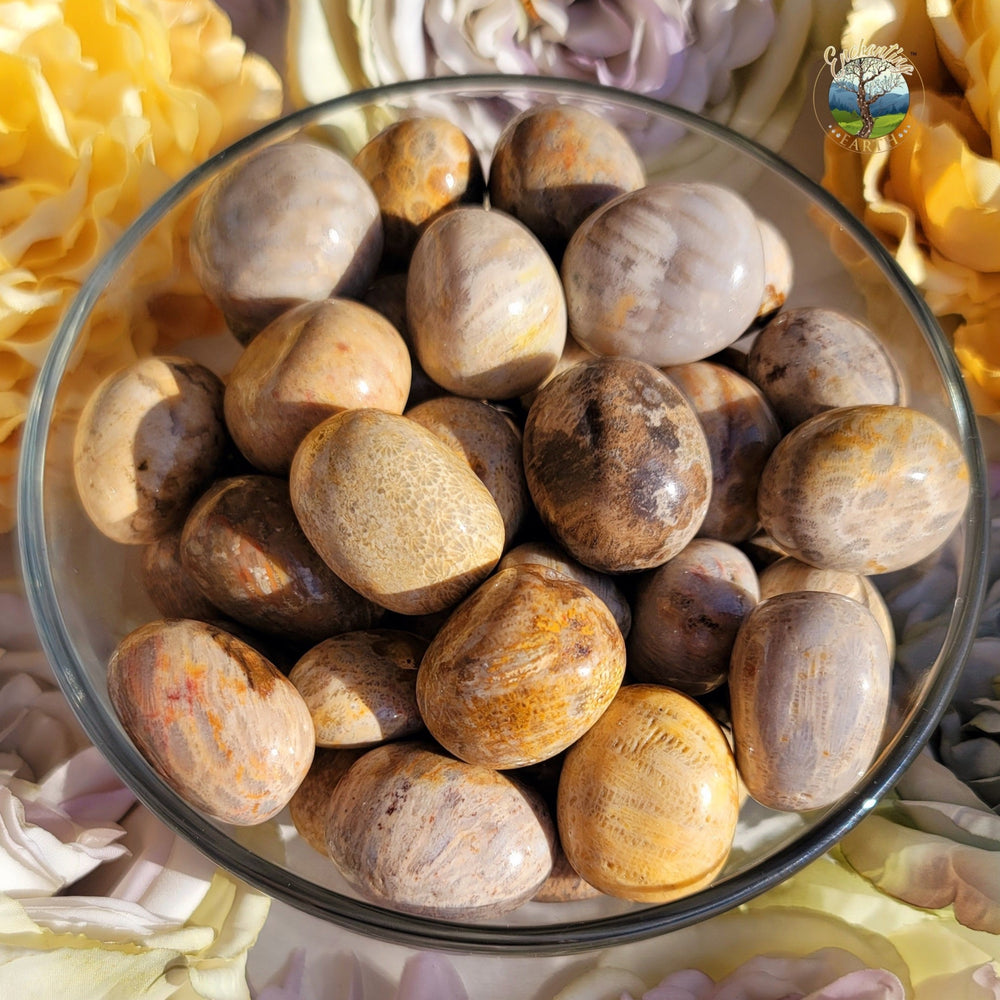 Tumbled Stones – Enchanting Earth